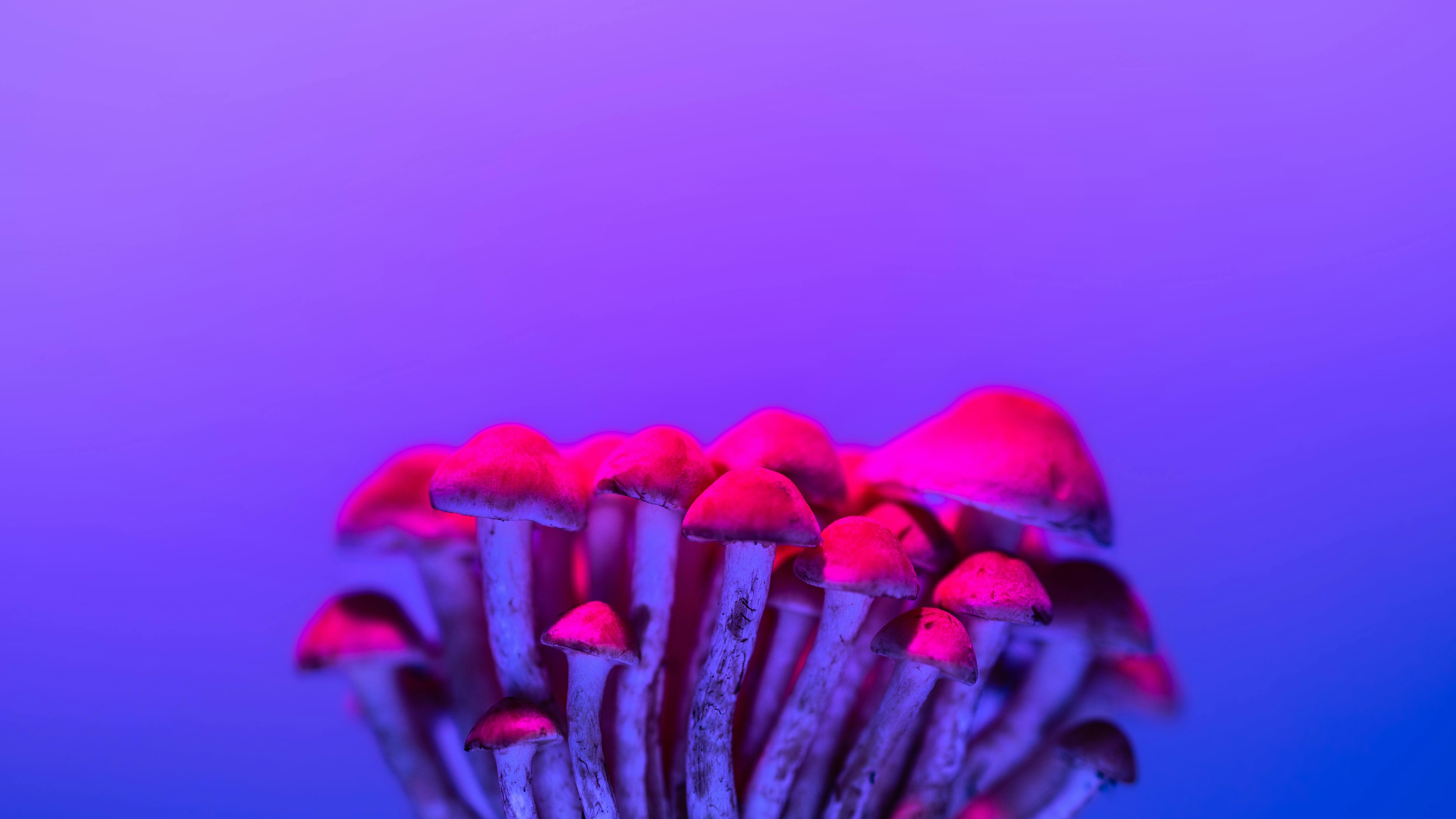 Wie wirkt 1BP-LSD? Wirkung, Risiken & Einordnung 2025 – Happy Flower