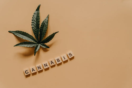 7. NpSG-Änderung 2026: Was bleibt legal? – Happy Flower